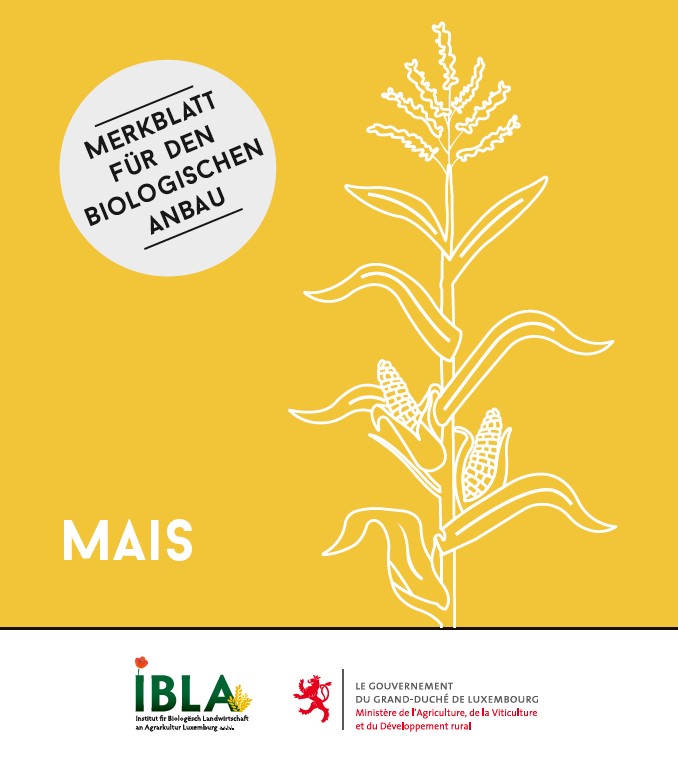Merkblatt für den biologischen Anbau: Mais - IBLA | Institut fir ...